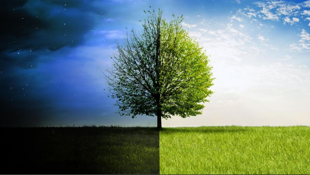 The Night and Day Difference | Impresa Modular